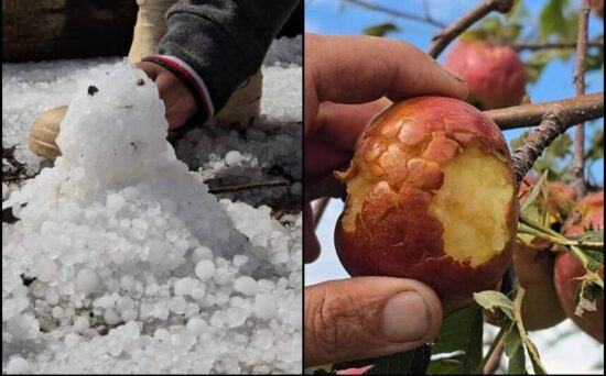 Granizo surpreende e causa estragos em SC; São Joaquim decreta ...